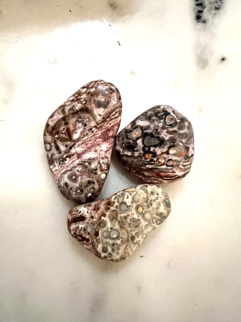 Leopard Skin Jasper - The Healing Company